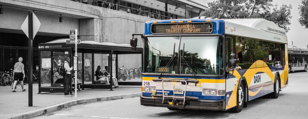 The Alexandria Transit Company - Welcome aboard | Business View Magazine
