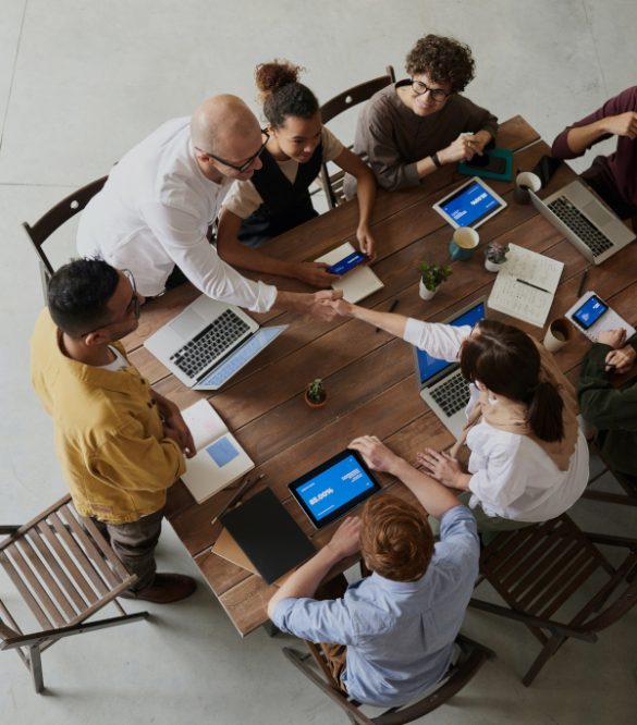 The International Economic Development Council - Business View