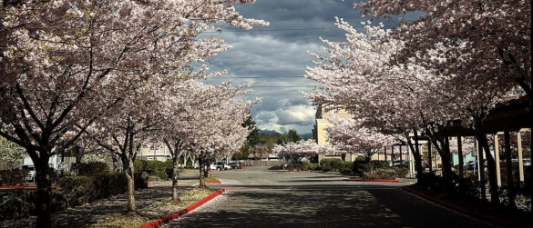 Covington, Washington - King County | Business View Magazine