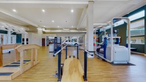 Ignite Medical Resorts - Park Ridge, Illinois | Business View Magazine