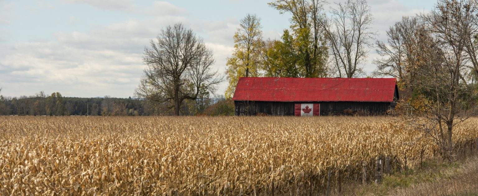Springwater, Ontario, Canada | Business View Magazine