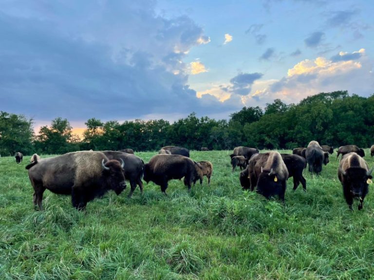 Fulton County, Ohio | Business View Magazine